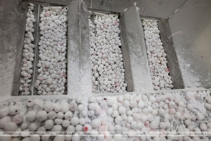 Inside Belarus’ only factory making sugared cranberries